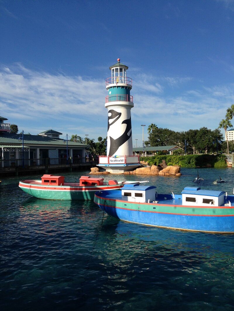 Our Favorite SeaWorld Orlando Rides