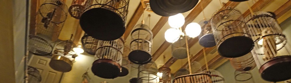 Diagon Alley Officially Opens at Universal Orlando!