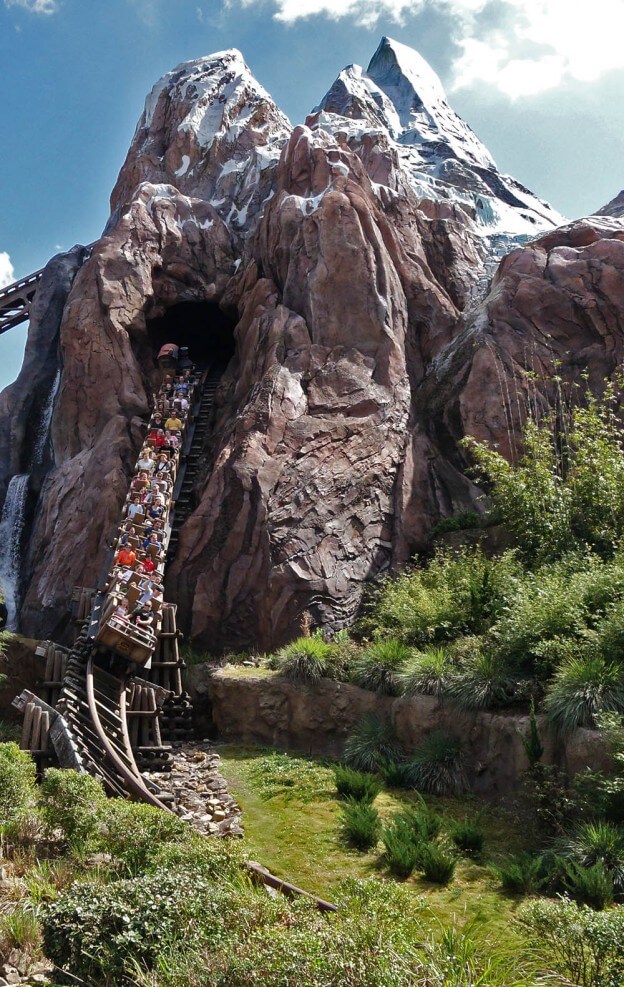 Not-to-Miss Rides and Experiences at Animal Kingdom