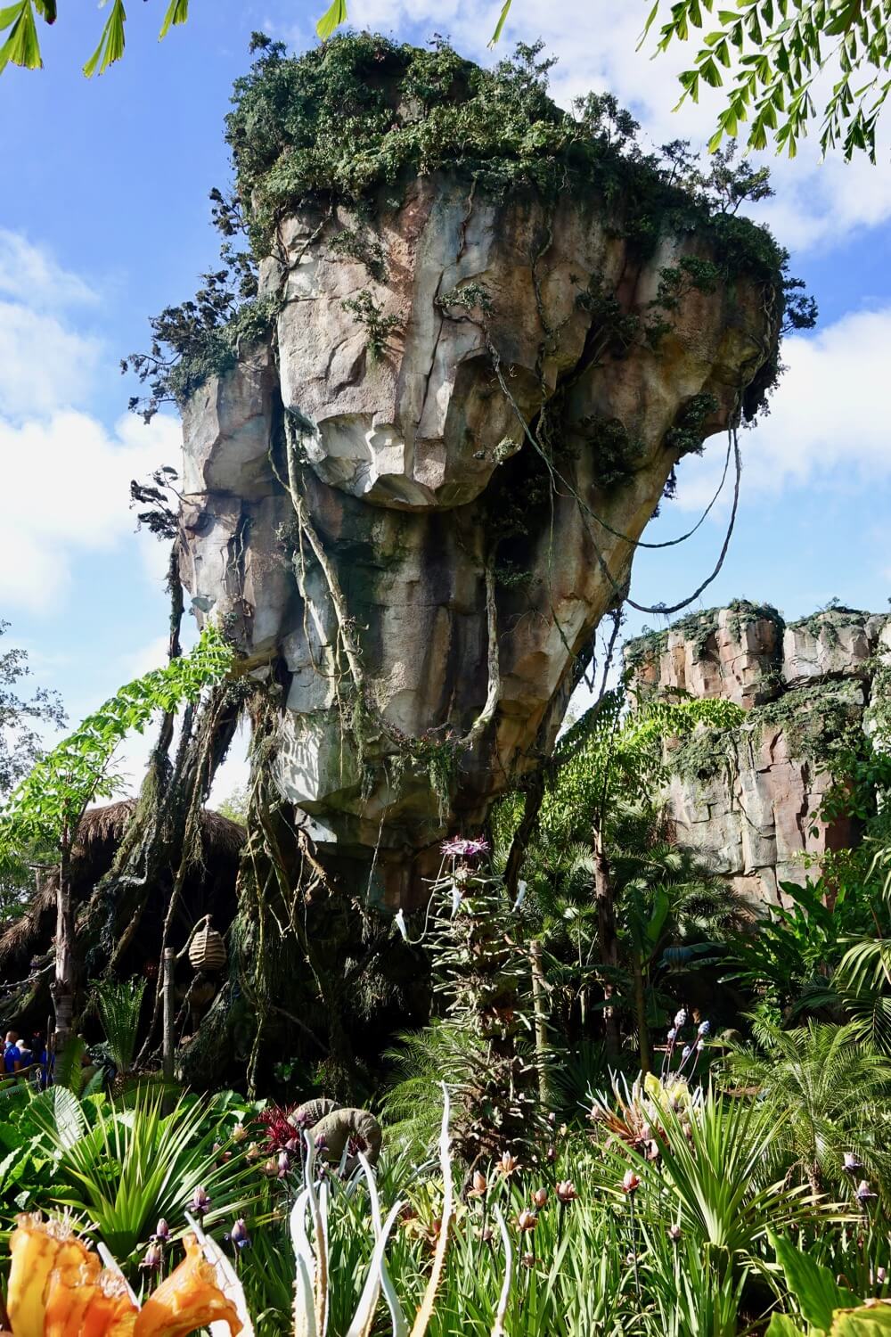 Pandora World of Avatar FastPass+ Strategies and Tips