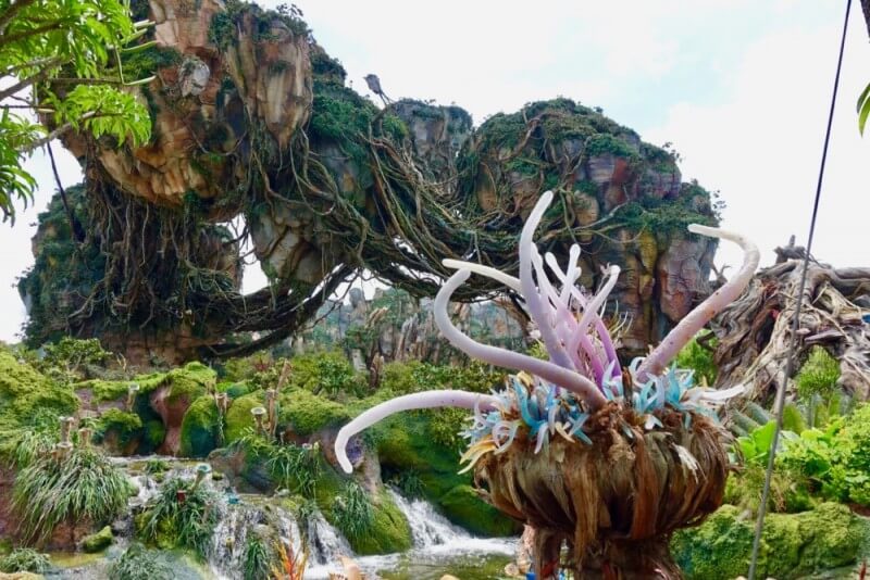 Guide to Pandora — The World of Avatar at Disney World