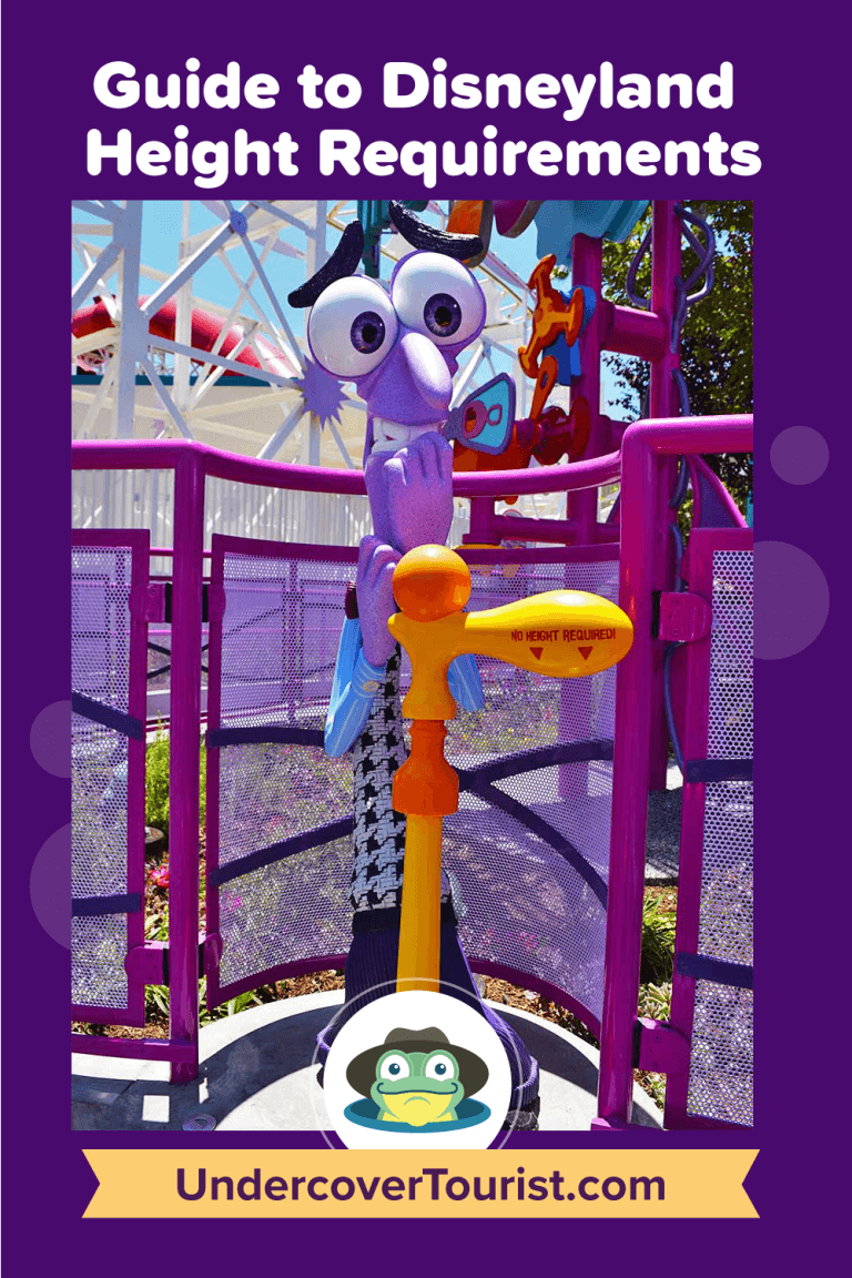 Guide to Disneyland Height Requirements & Rider Switch