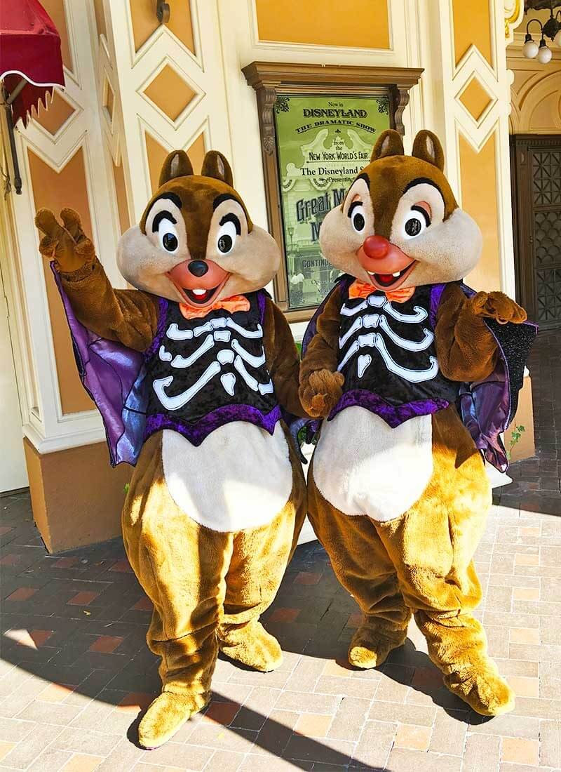 Ultimate Guide to Disneyland Halloween Time
