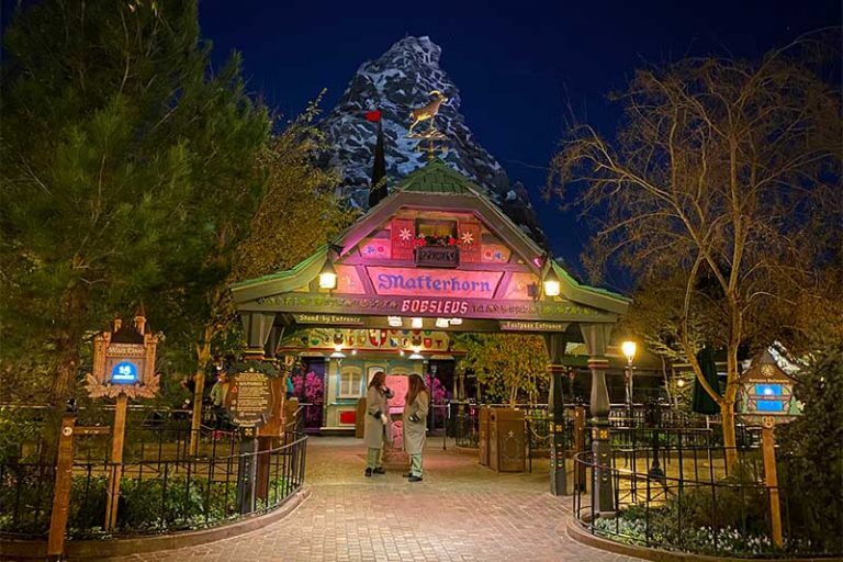 Overview of Disneyland Disability Access Service (DAS)