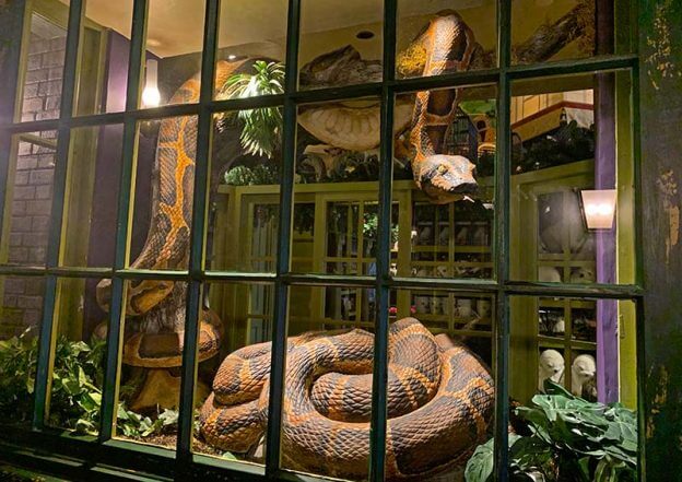 Hidden Gems In The Wizarding World Of Harry Potter At Universal Orlando