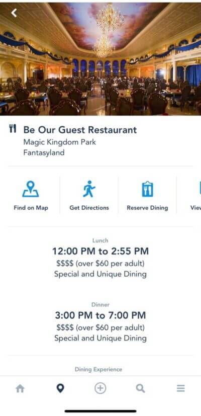 How to Navigate the Ins and Outs of My Disney Experience