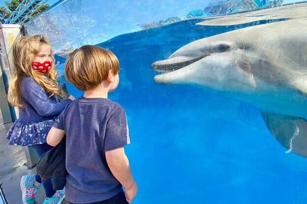 Tips for Taking Toddlers & Children to SeaWorld San Diego