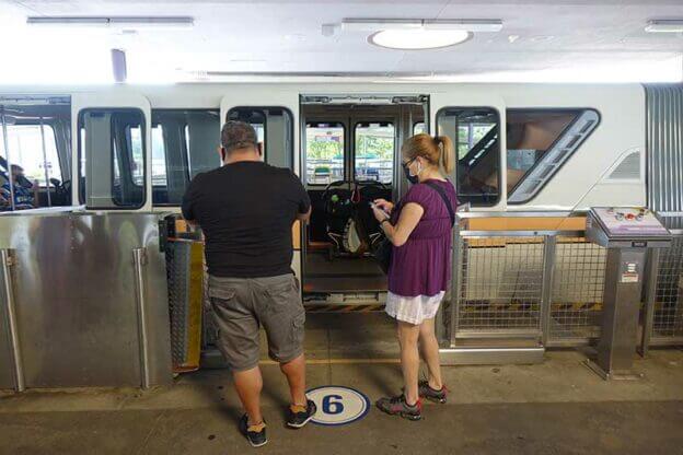 Your Complete Guide to Disney World Transportation Options