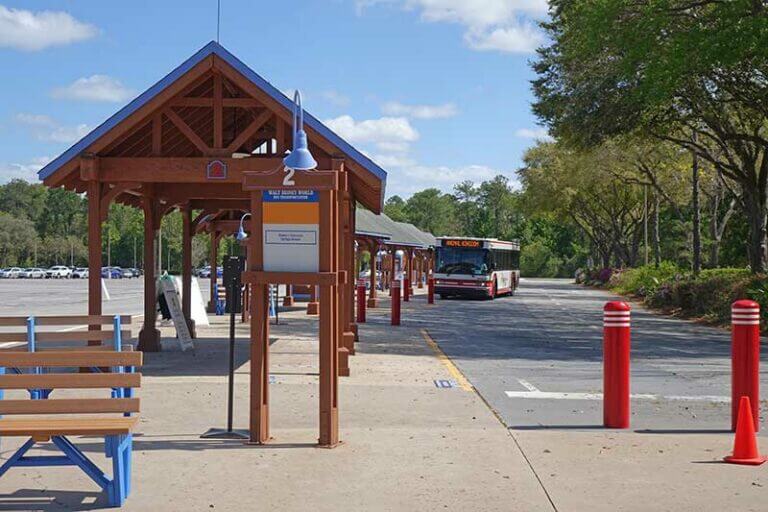 The Amazingly Cool Guide to Disney's Blizzard Beach Water Park