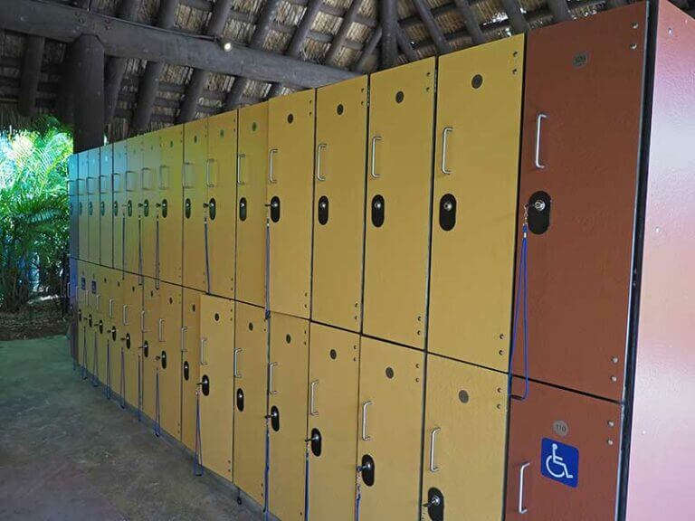 Why Discovery Cove Is One of Orlando's Top Attractions