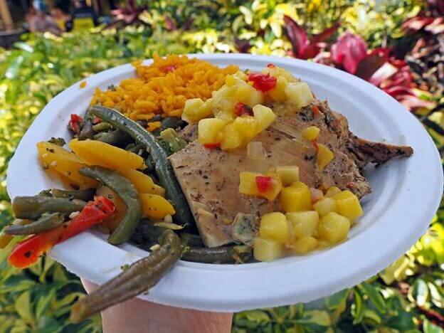 Why Discovery Cove Is One of Orlando's Top Attractions