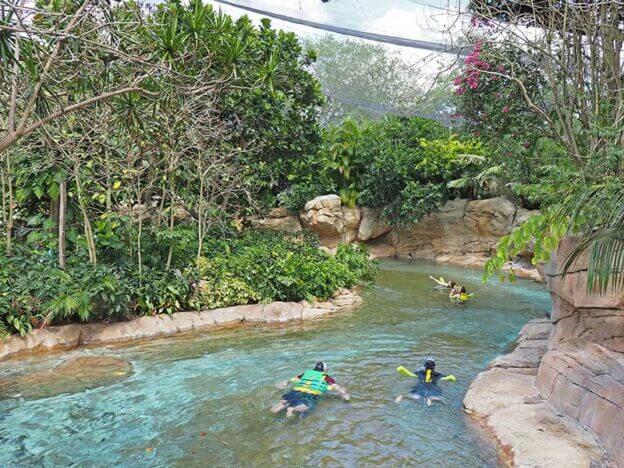 Why Discovery Cove Is One of Orlando's Top Attractions