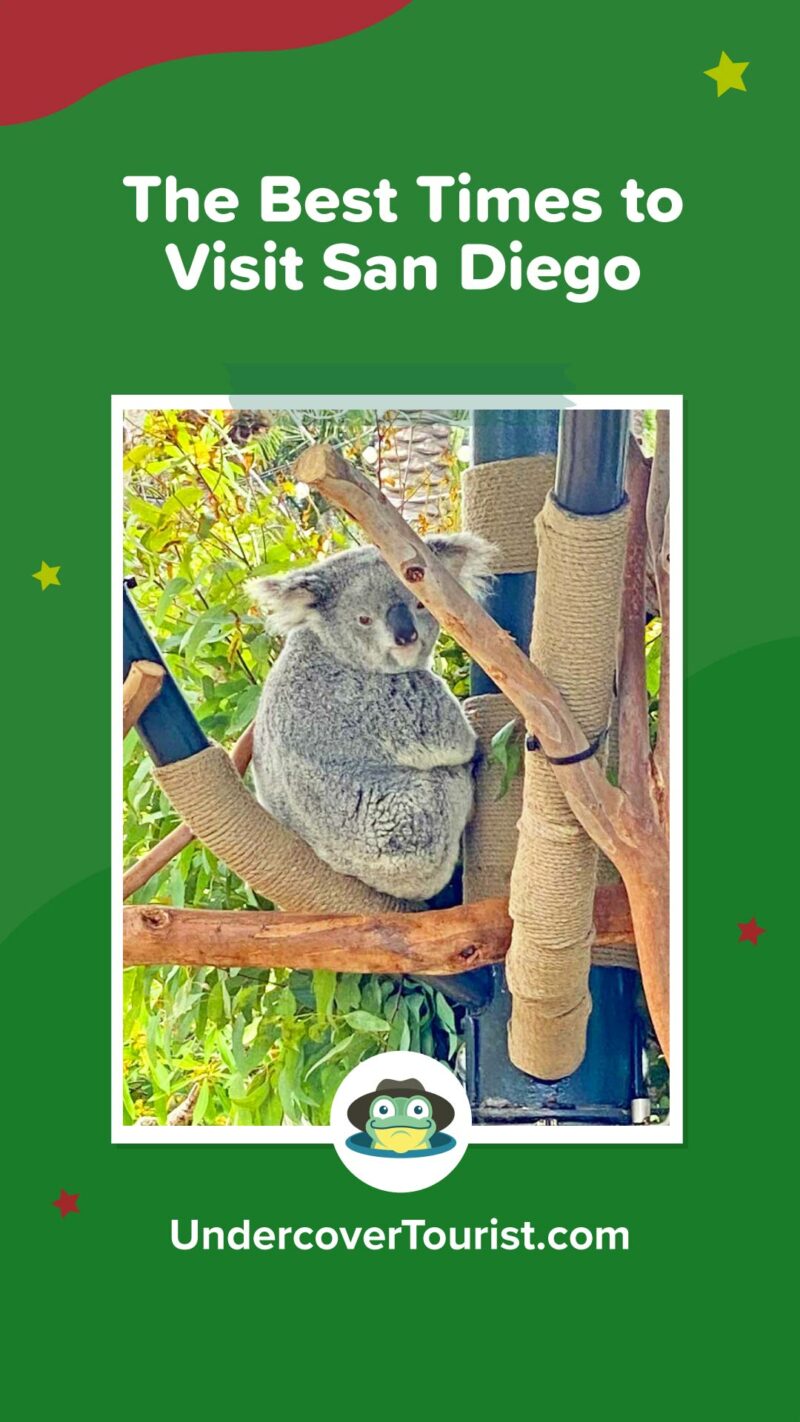 Best Times to to Visit San Diego for a Family Vacation