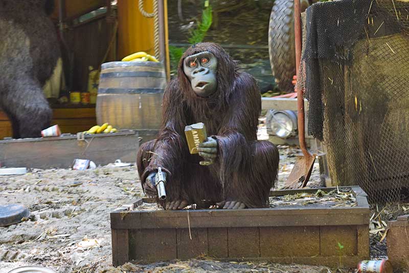 What Is Closed or Open at Disneyland Right Now?