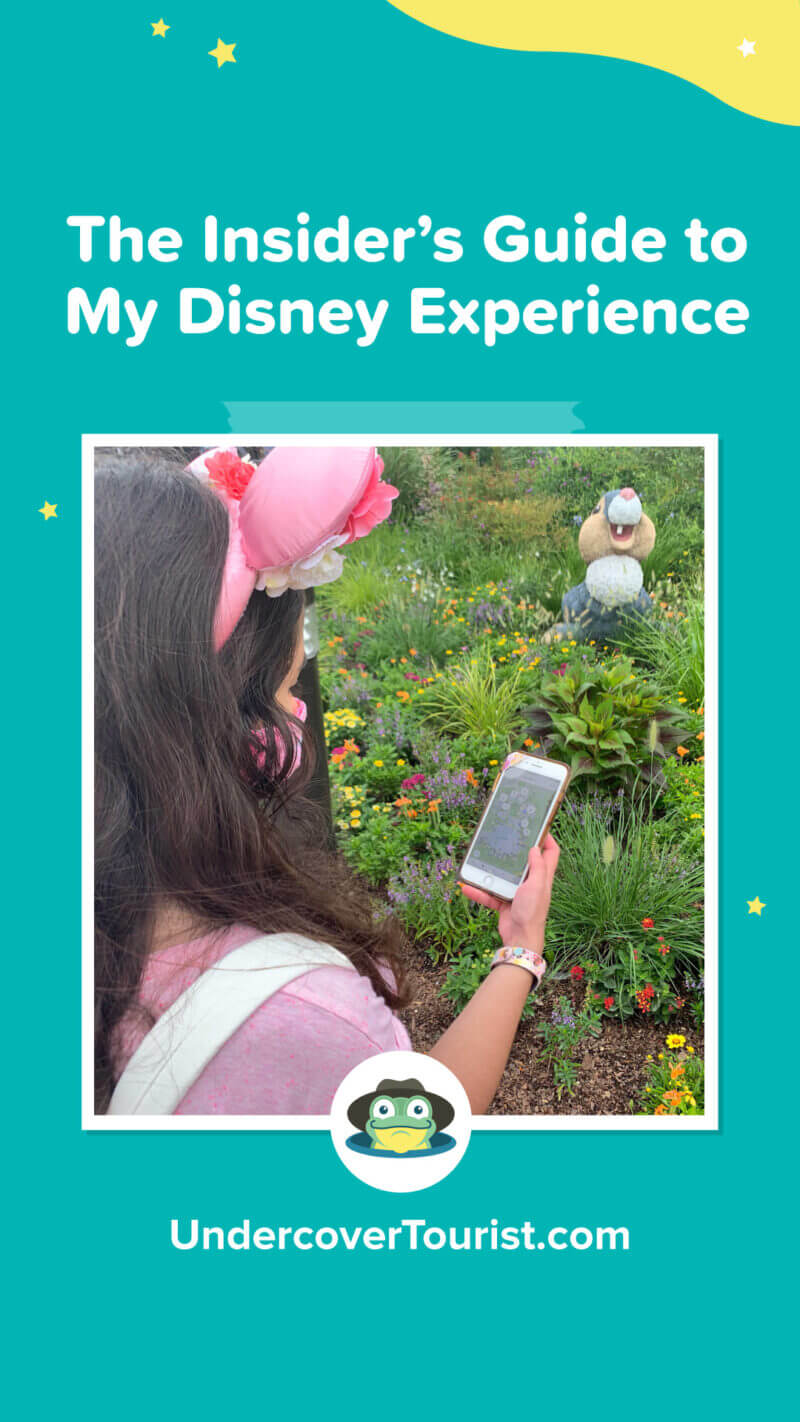 How to Navigate the Ins and Outs of My Disney Experience