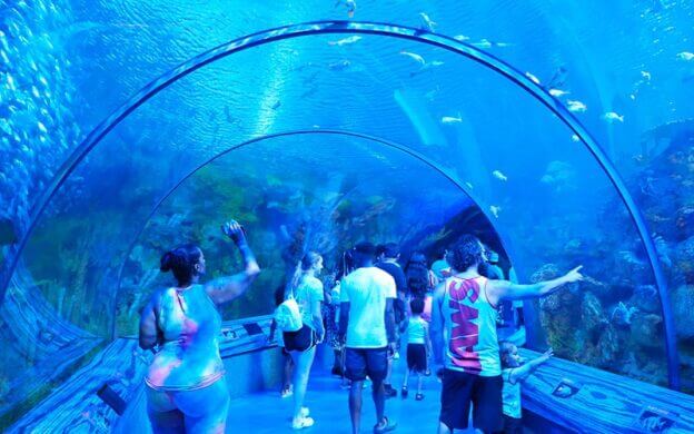 SeaWorld Orlando Tips to Make the Most of Your Trip