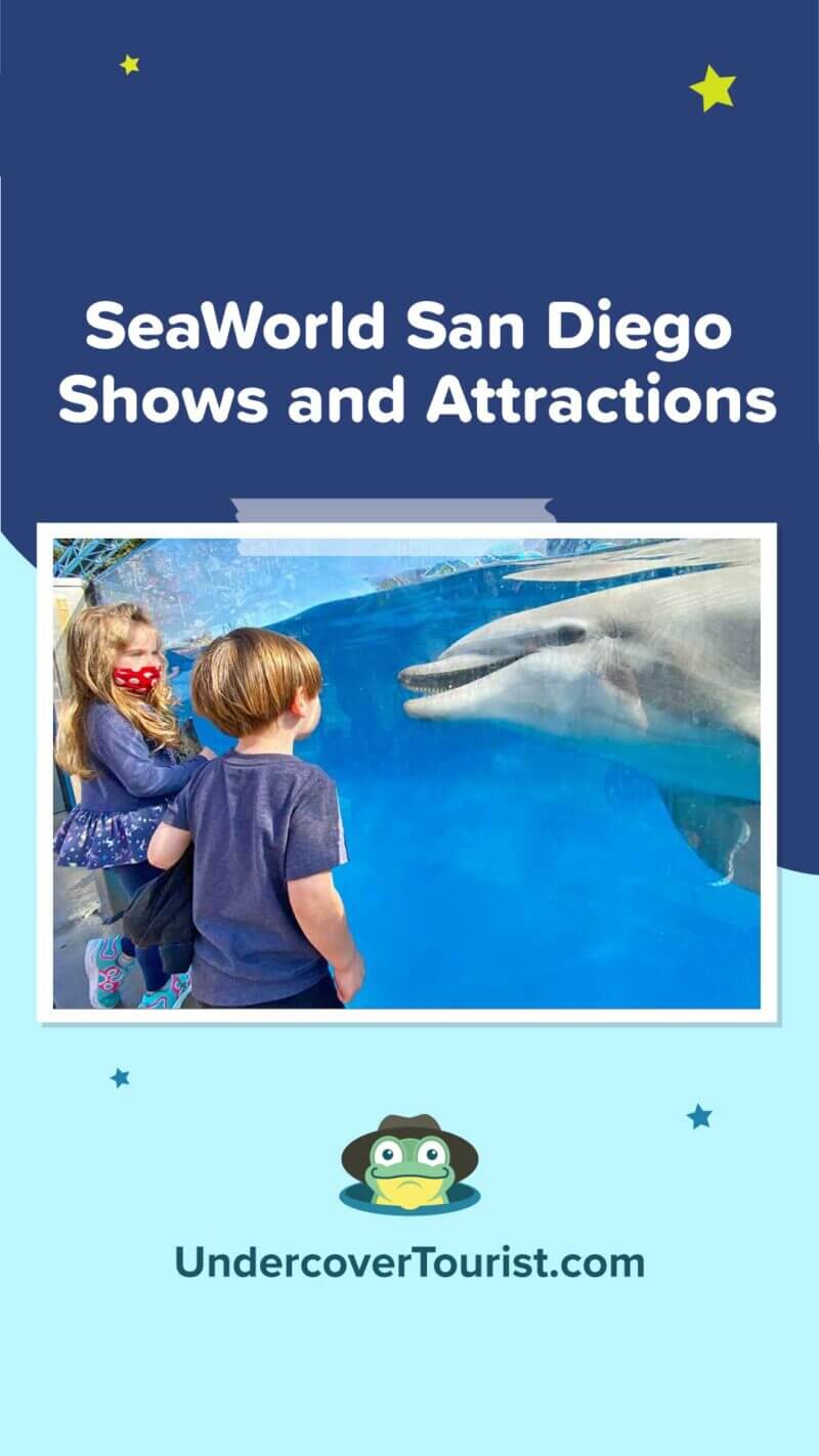 Best SeaWorld San Diego Shows and Attractions
