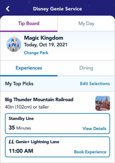 Tips for Using Genie Plus with Kids at Disney World