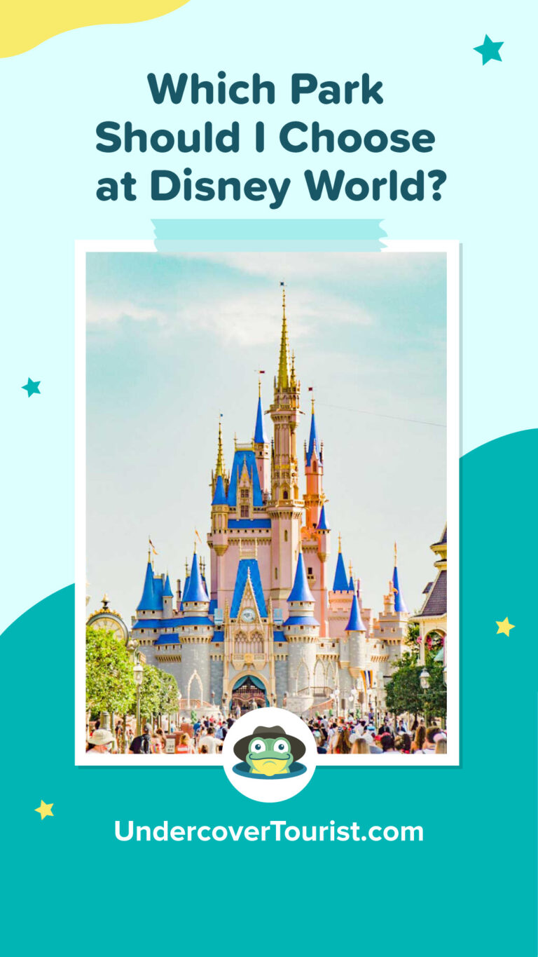 Which Disney World Park Should You Choose? We're Here to Help!