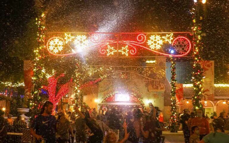 Our Complete Guide to SeaWorld Orlando's Christmas Celebration