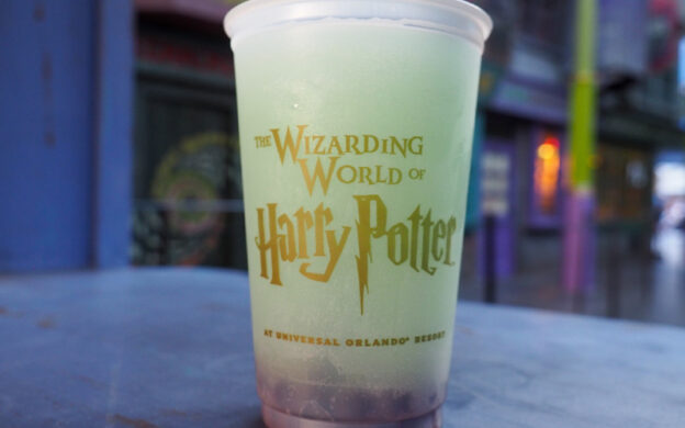 A Guide to The Wizarding World of Harry Potter Orlando Restaurants