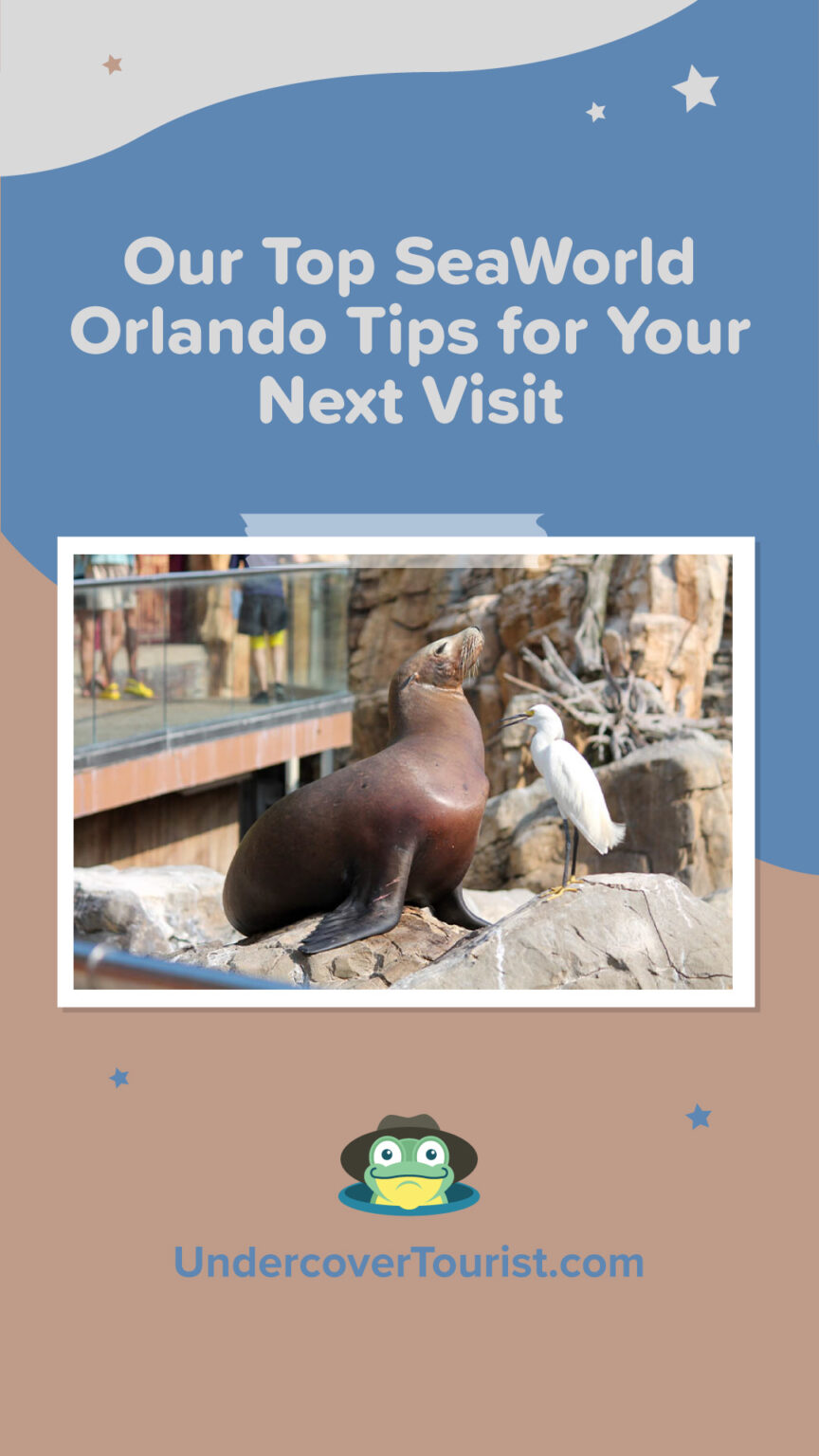 SeaWorld Orlando Tips to Make the Most of Your Trip