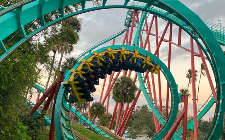 Thrill-Seeker's Guide to Florida SeaWorld Parks