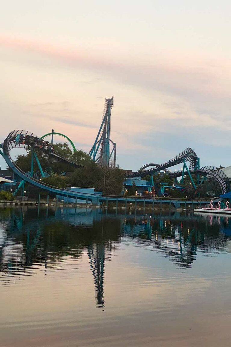 Thrill-Seeker's Guide to Florida SeaWorld Parks