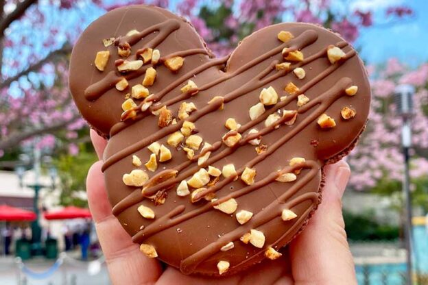 Yummy Details for the Disney California Adventure Food and Wine Festival