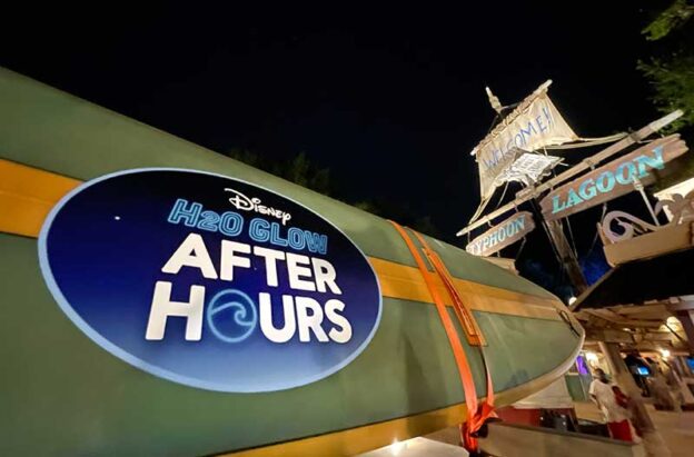 How to Make the Most Out of Disney After Hours Events at Disney World