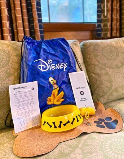 Tips for Bringing a Pet to Disney World