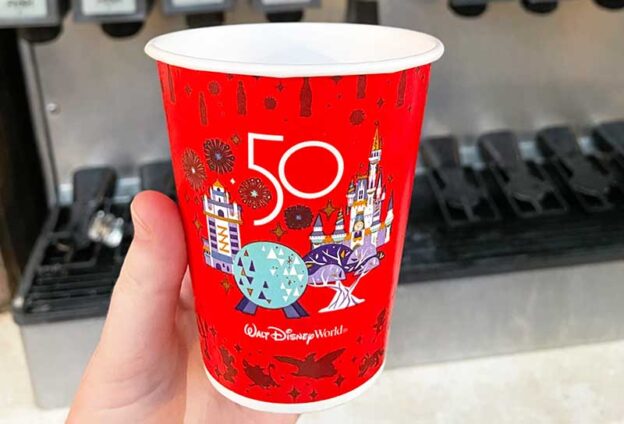 Everything About Water — How to Stay Hydrated at Disney World