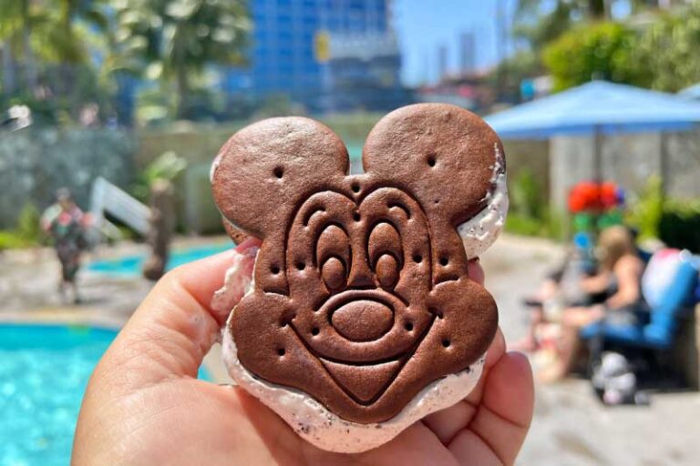 The Coolest Disneyland Ice Cream on a Hot Day (or Any Day)