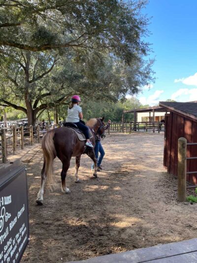 The Animal Lover's Guide to Walt Disney World