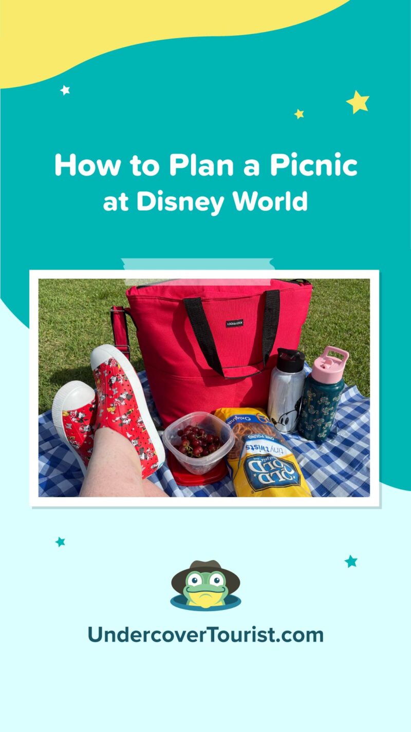 Our Top Tips for Planning a Magical Picnic at Disney World