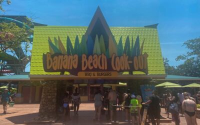 Everything You Need to Know About Aquatica Orlando