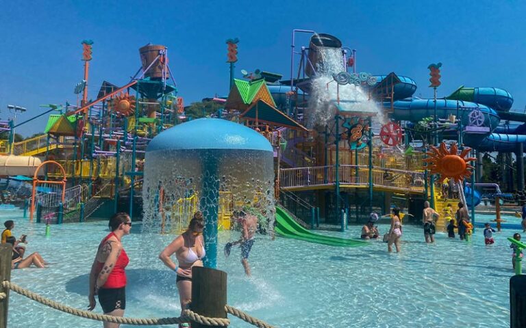 Everything You Need to Know About Aquatica Orlando