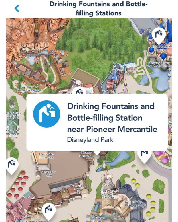 How to Navigate the Ins and Outs of the Disneyland App