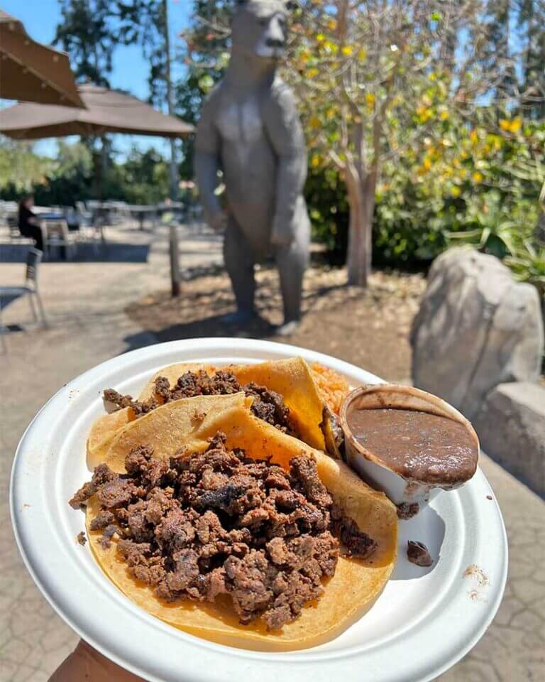 San Diego Zoo Dining Tips and How Much to Budget