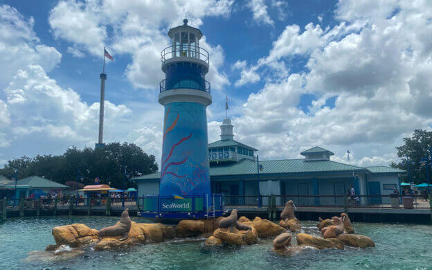 SeaWorld Orlando Tips to Make the Most of Your Trip