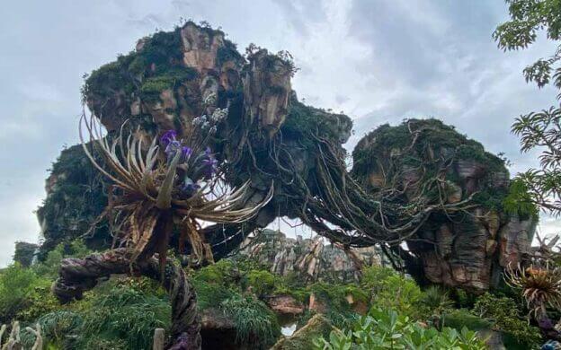 Guide to Pandora — The World of Avatar at Disney World