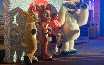 Our Complete Guide to SeaWorld Orlando's Christmas Celebration