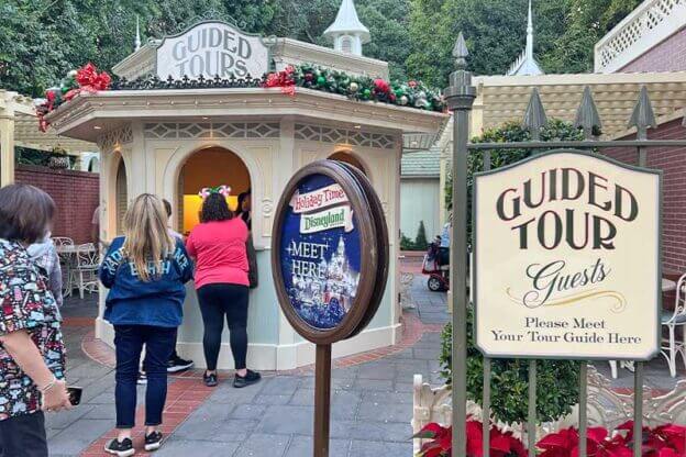 What You Need to Know About Guided Disneyland Tours