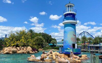 Overview of SeaWorld's Ride Accessibility Program