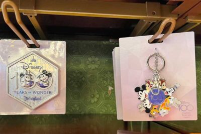 All of the Must-Have Disney 100 Merchandise (with Prices)!