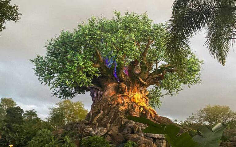 Our Wild Guide to the Tree of Life at Disney's Animal Kingdom