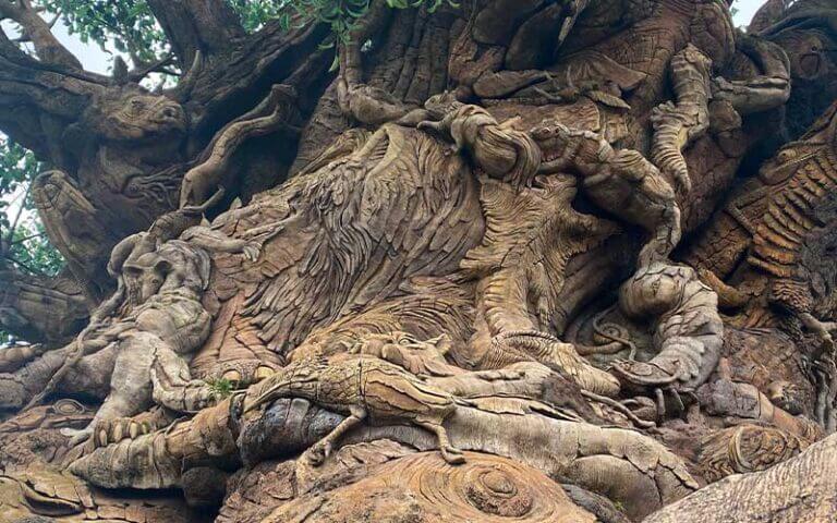 Our Wild Guide to the Tree of Life at Disney's Animal Kingdom