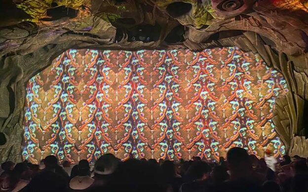 Our Wild Guide to the Tree of Life at Disney's Animal Kingdom