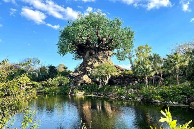Adventure Is Out There! Wilderness Explorers at Disney's Animal Kingdom