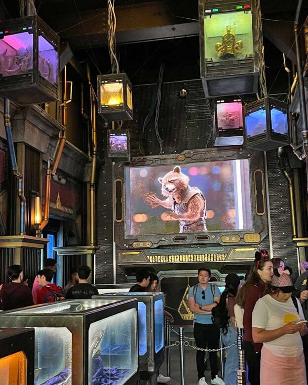 Our Top 12 Not-to-Miss Queues at Disneyland Resort